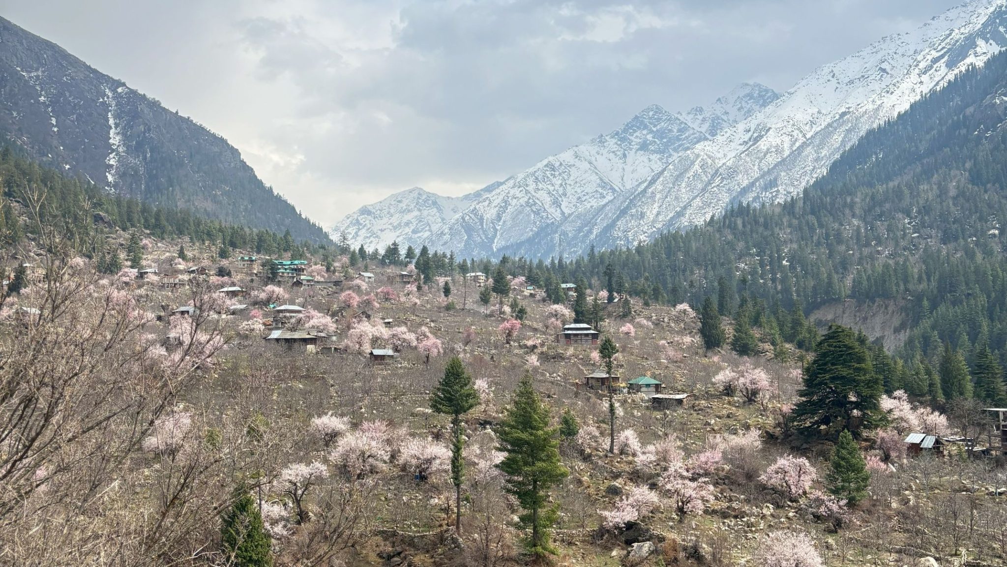 Sangla – A Ravishing River Valley in Kinnaur